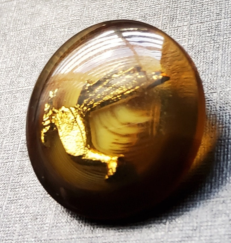 Vintage 1950's Small Faux Horn Button With Inset Gold Pheasant. . - Etsy UK