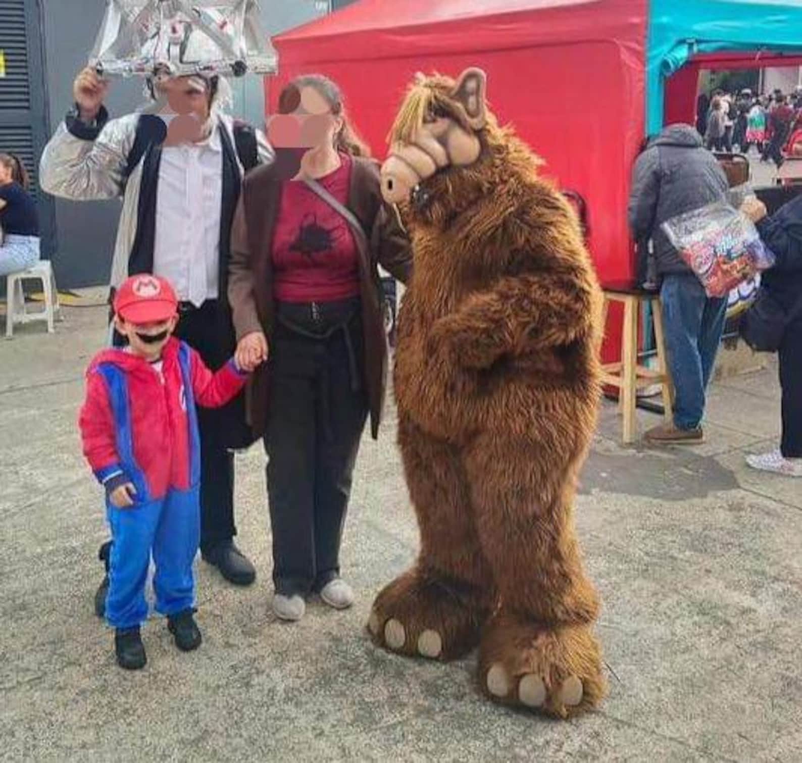 Alf Costume - Etsy