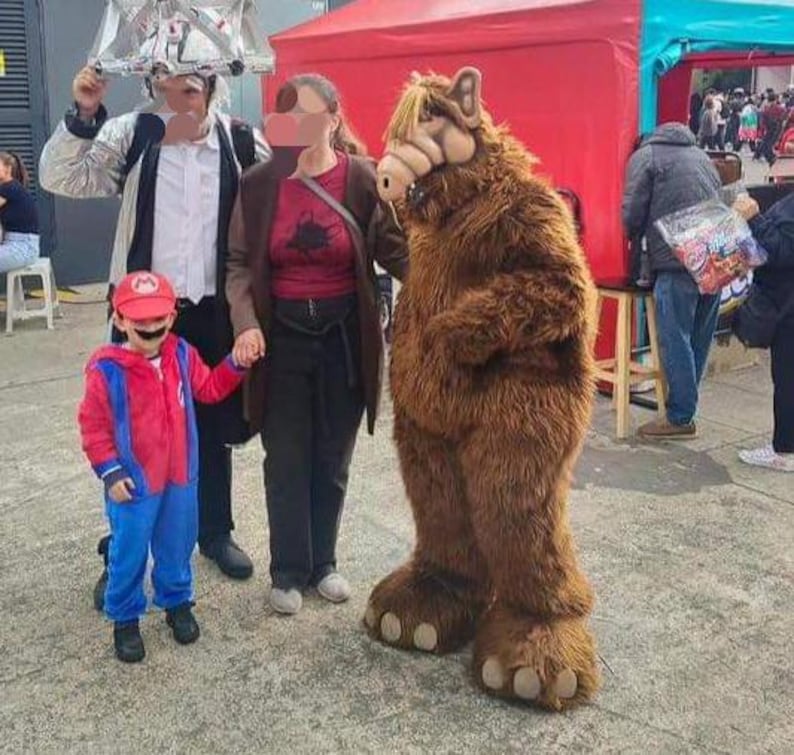 Alf Costume - Etsy