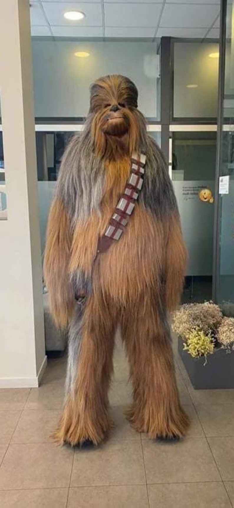 Chewbacca Costume - Etsy