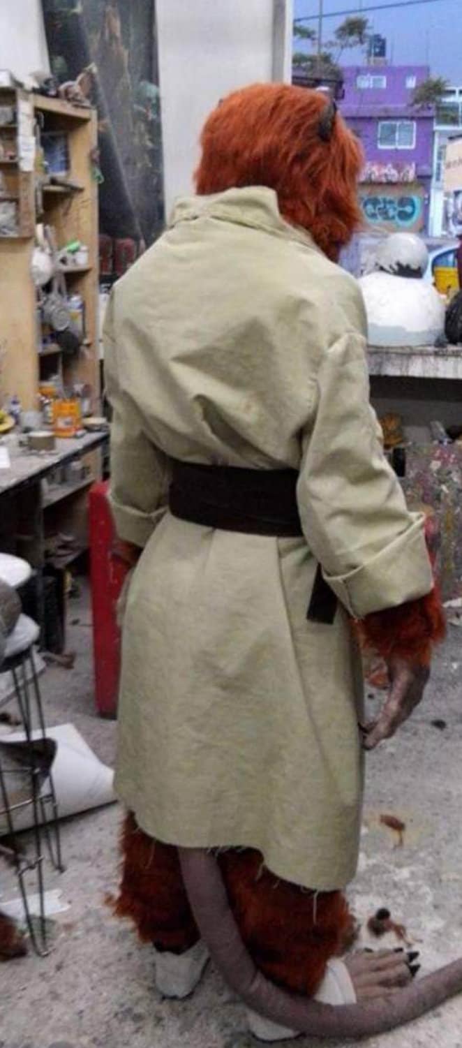 Splinter Costume - Etsy