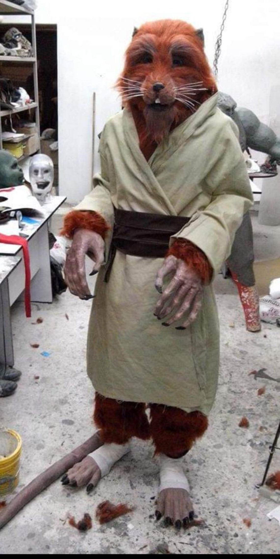 Splinter Costume - Etsy