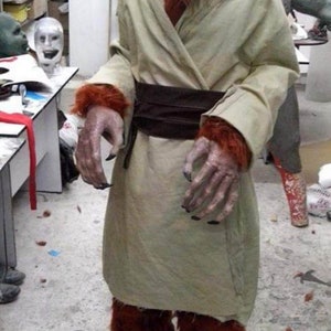 Splinter Costume - Etsy