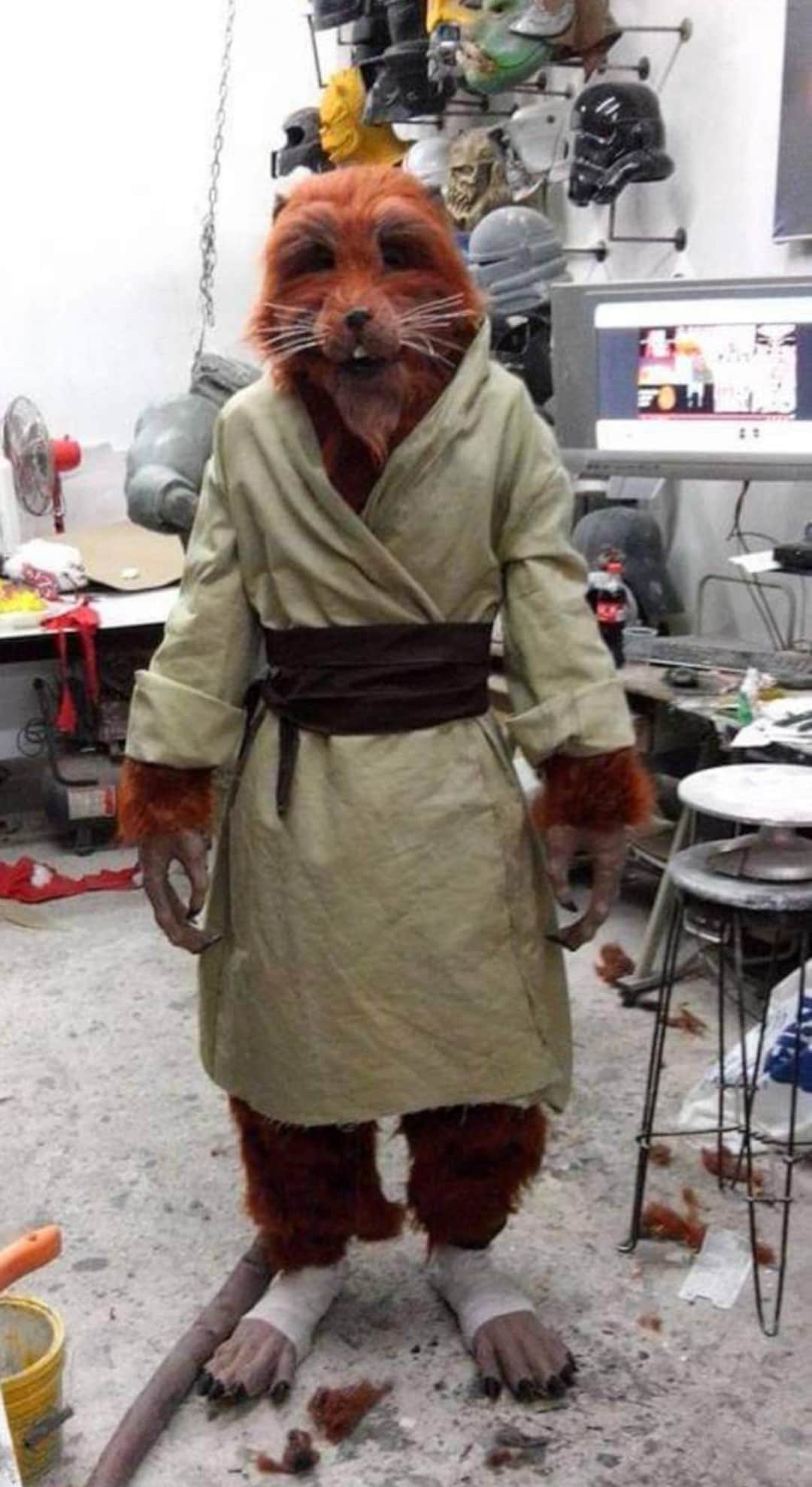 Splinter Costume - Etsy
