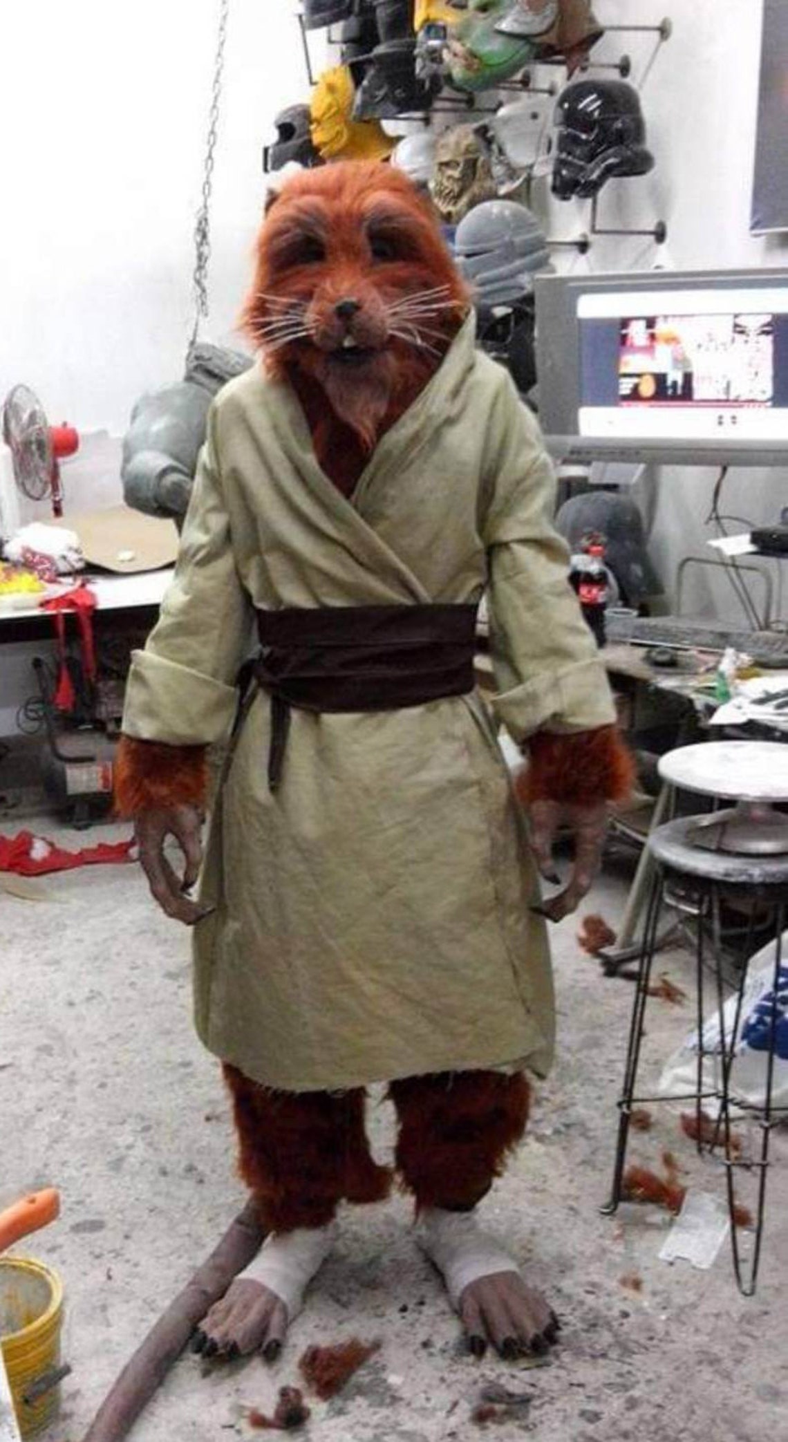 Splinter Costume - Etsy