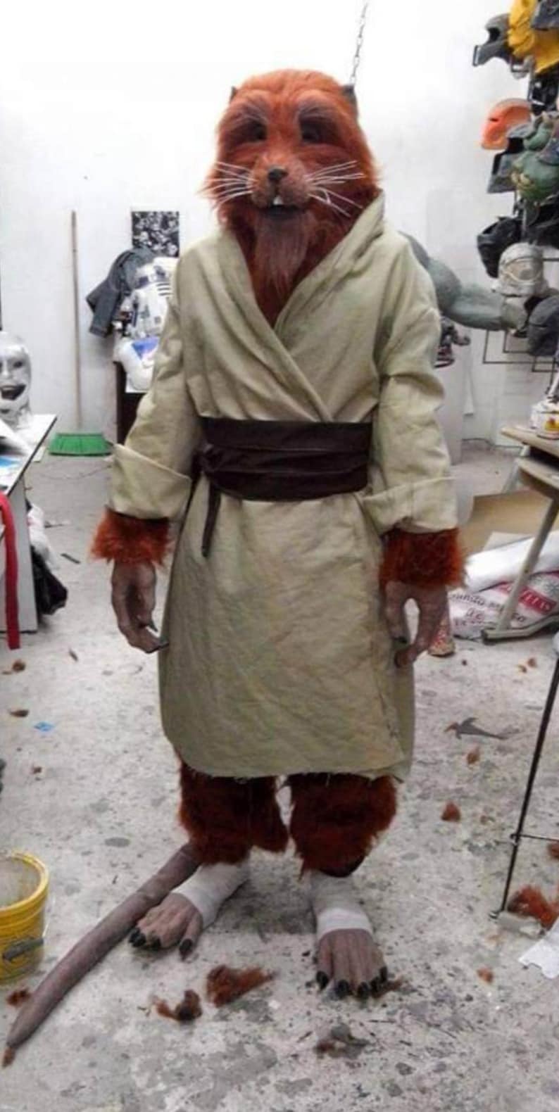Splinter Costume - Etsy
