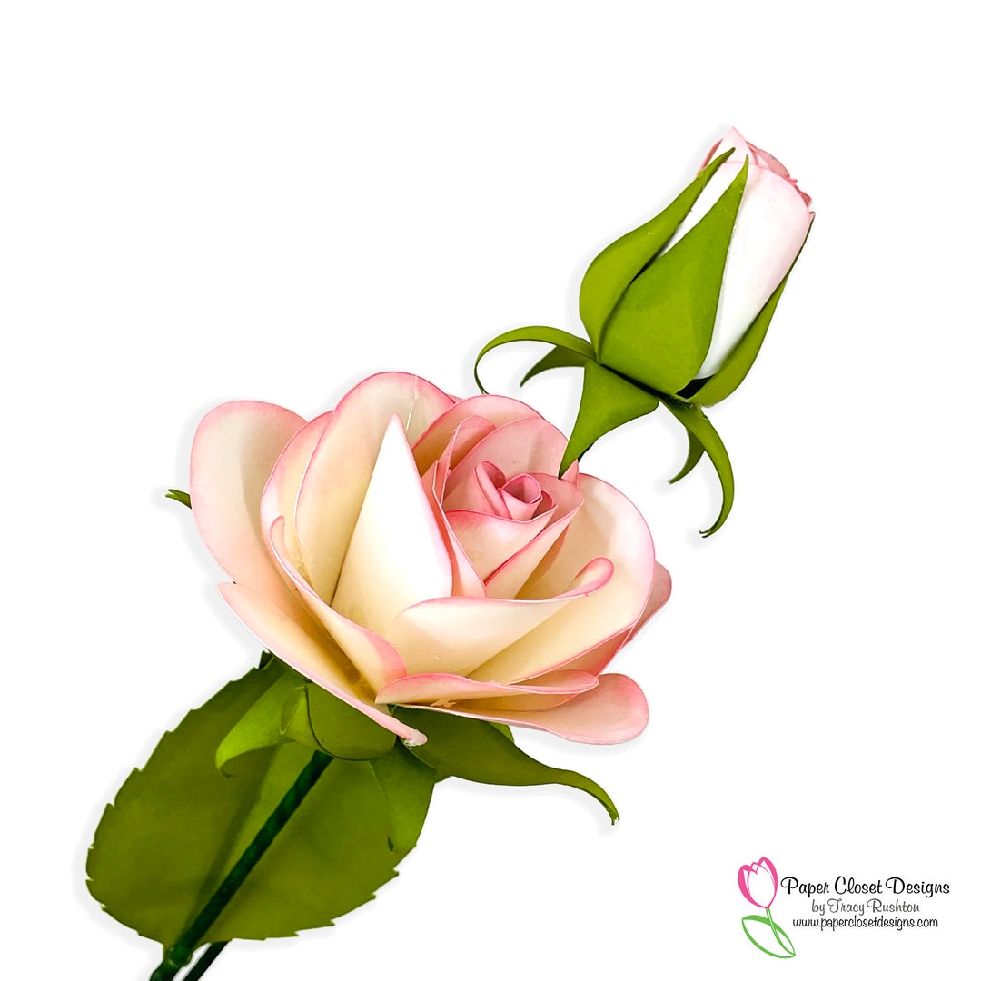 3d Rose and Rosebud SVG, Paper Flower Template, 3D SVG, Cricut ...