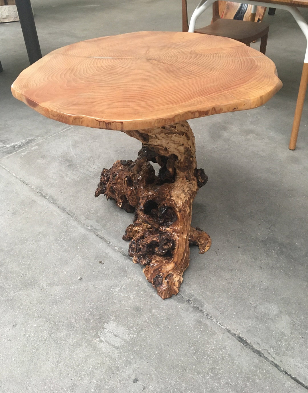 Coral Table, Slice of Cedar Wood Top, Tree Root - Etsy
