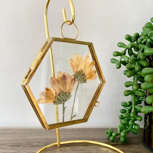Pressed Yellow Wildflower Pair // Hexagonal Wall-hanging Gold Brass ...