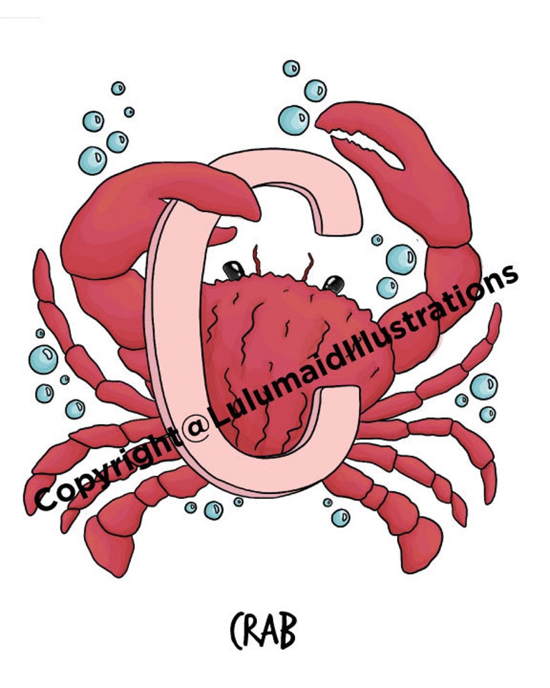 A to Z Under the Sea Alphabet Illustrated Flash Cards | Etsy