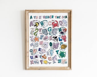 A to Z Under the Sea Alphabet Illustrated Flash Cards - Etsy