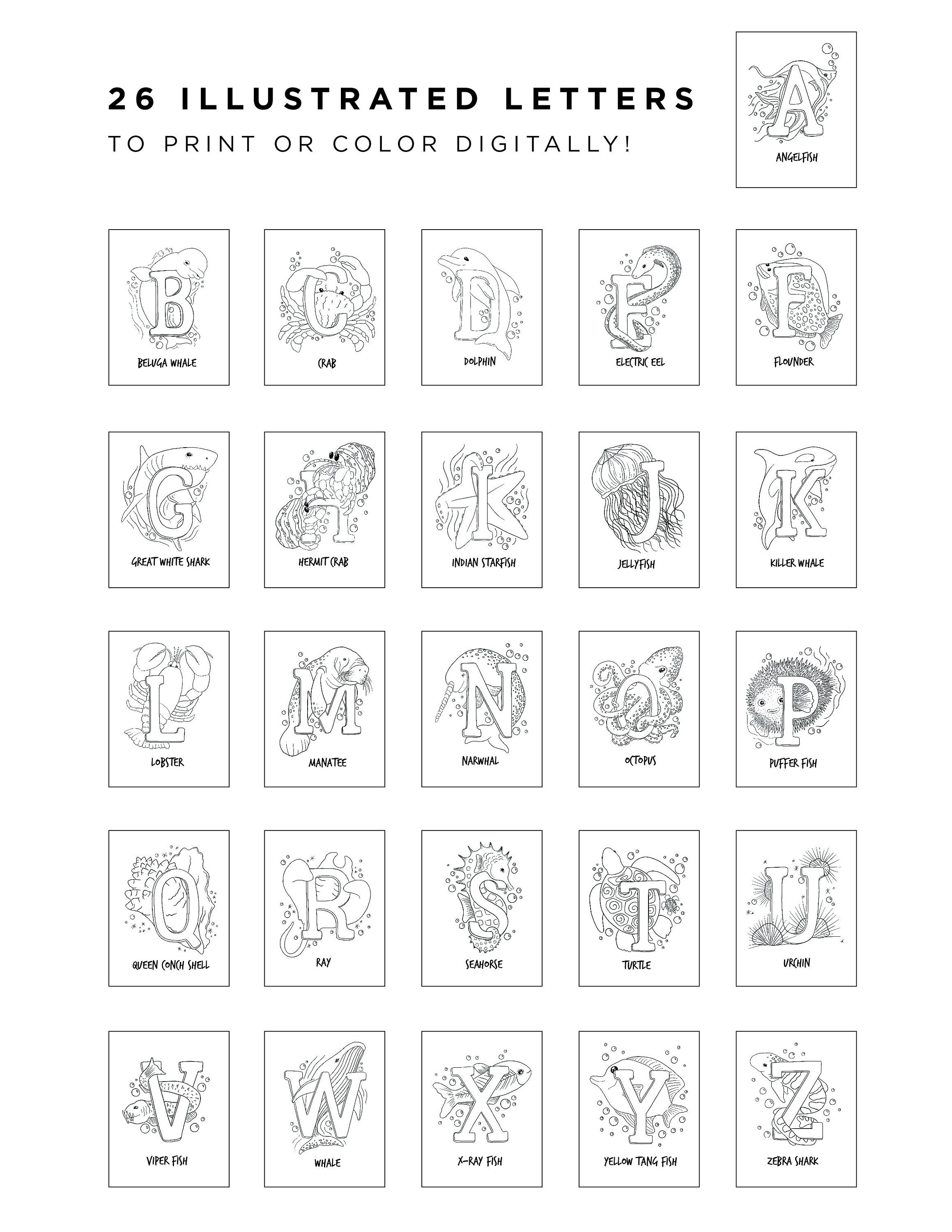 A to Z Under the Sea Alphabet Illustrated Coloring Book - Etsy