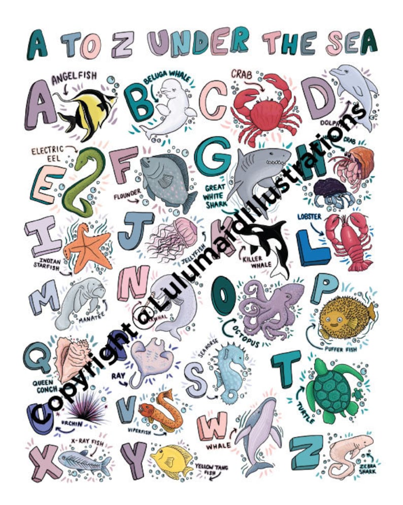 A to Z Under the Sea Alphabet Illustration Art Print - Etsy
