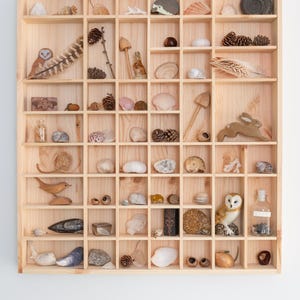 Large Wooden Trinket Display Shelf | 51 Compartments | Wall Hanging ...
