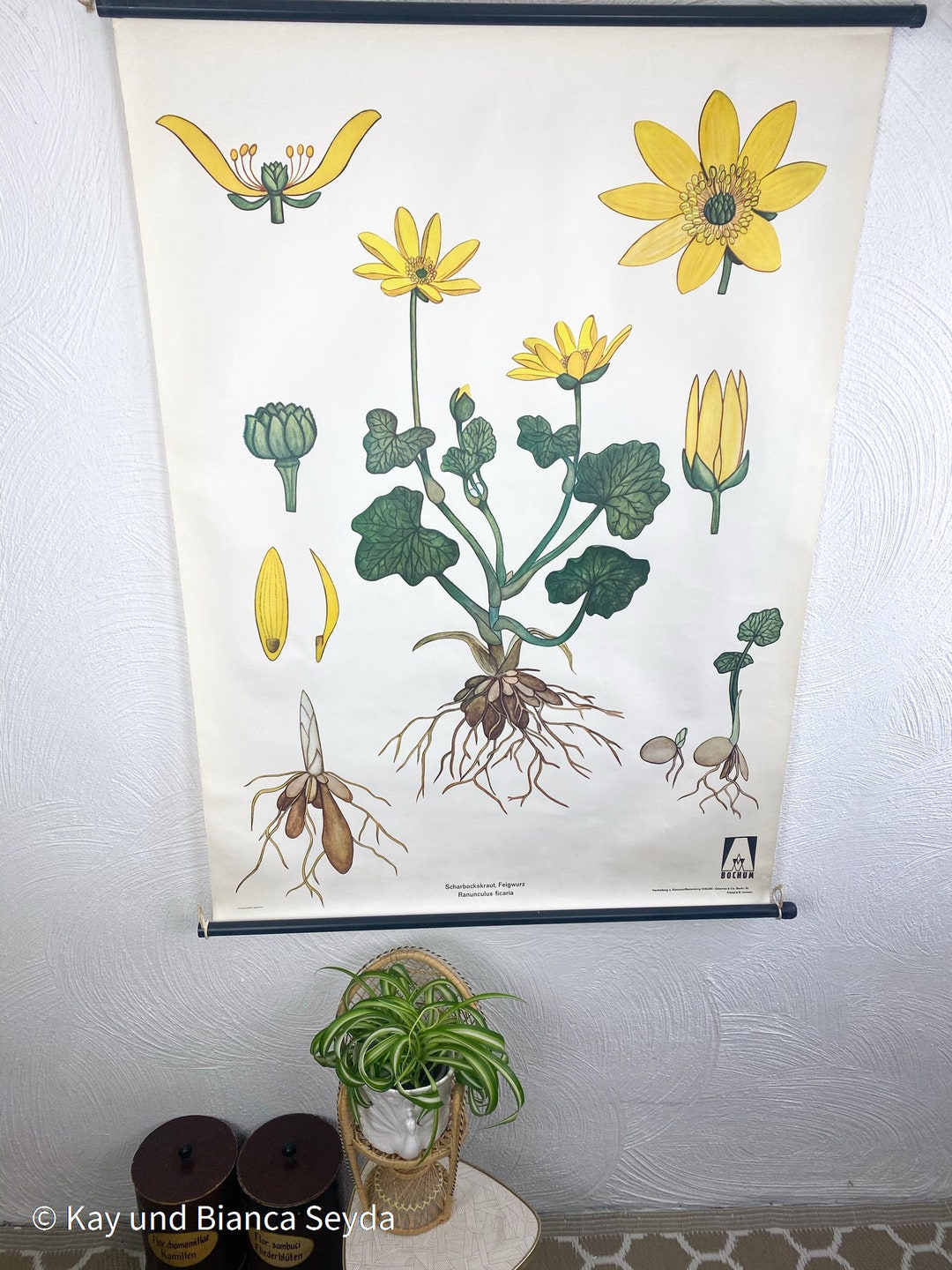 Vintage School Wall Chart, Illustration, Roll Chart, School Poster ...