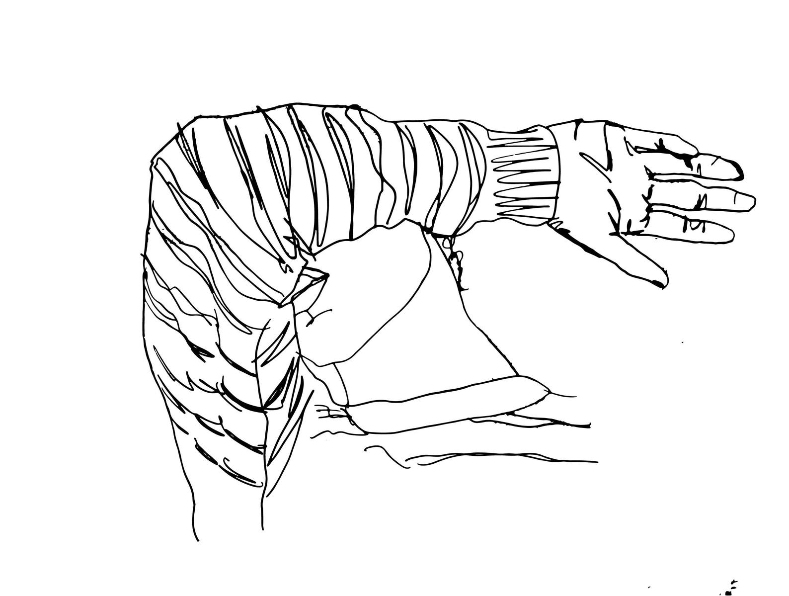 In Hiding Black & White Line Drawing Print - Etsy