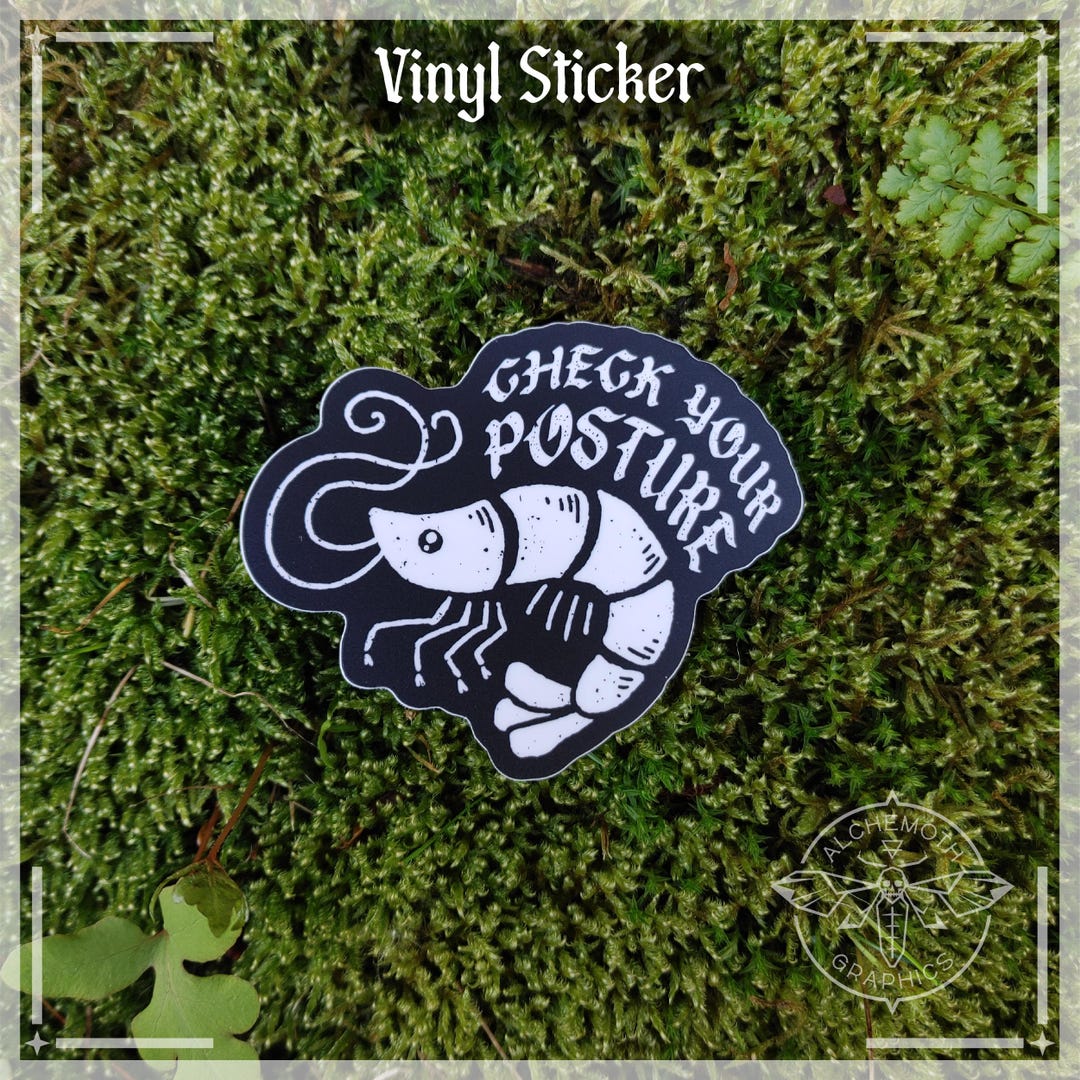 Check Your Posture Shrimp - Blackletter Style | 3" Vinyl Sticker - Etsy