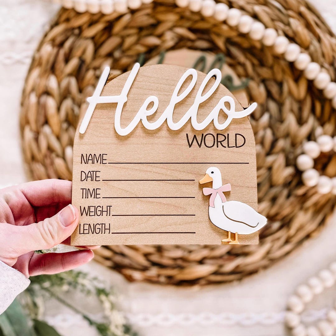 Goose Birth Announcement Wood Hospital Sign - Newborn Birth Stat Circle ...