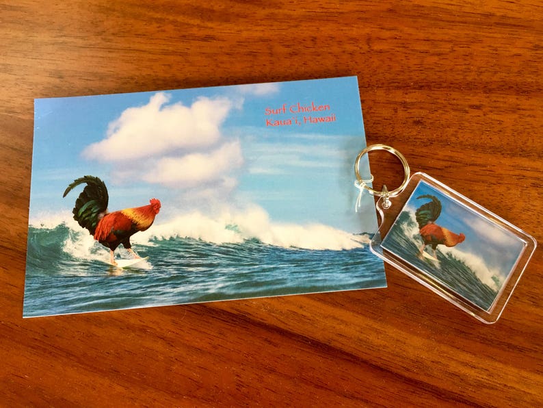 Surf Chicken - Chicken Art, Chicken Postcards, Surfing Keychain ...