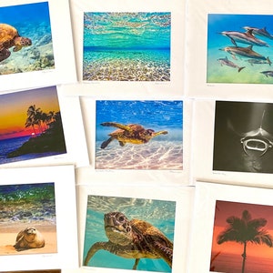 Mahaulepu Monk Seal - Monk Seal Wall Art, Monk Seal Photography, Hawaii ...