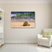 Mahaulepu Monk Seal - Monk Seal Wall Art, Monk Seal Photography, Hawaii ...
