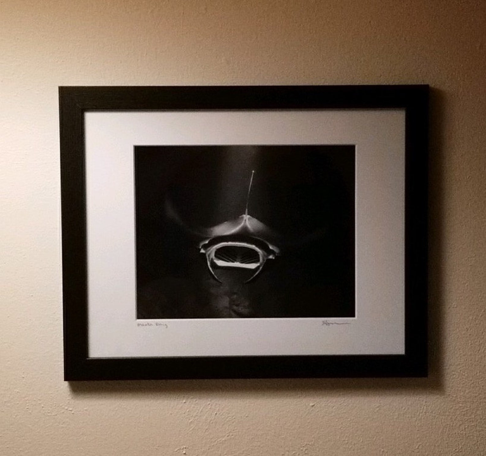 Manta Ray - Manta Ray Wall Art, Manta Ray Hawaii, Black and White Wall ...