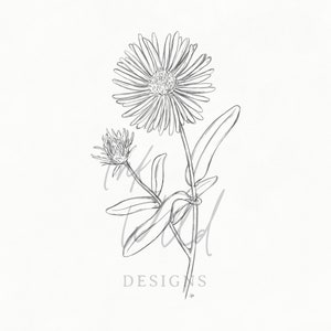 Aster Sketch Print | Aster Drawing | Floral Drawing | Pencil Drawing ...