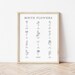 Botanical Birth Flower Art | Garden Monthly Flower Art | Hand Drawn ...