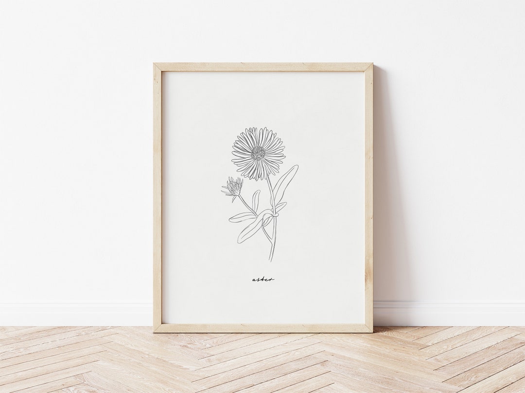 Aster Line Art | Aster Botanical Art | Floral Drawing | Pen Drawing ...