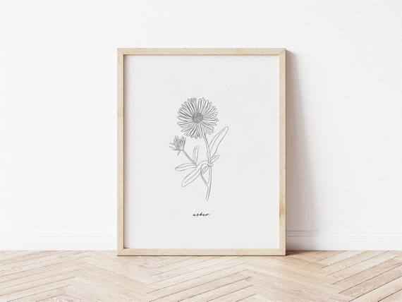 Aster Line Art Aster Botanical Art Floral Drawing Pen - Etsy