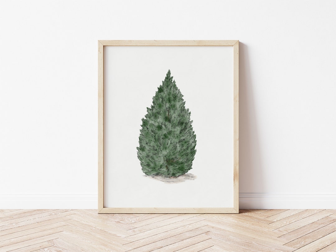 Juniper Tree Watercolor, Juniper Print, Watercolor Christmas Tree ...