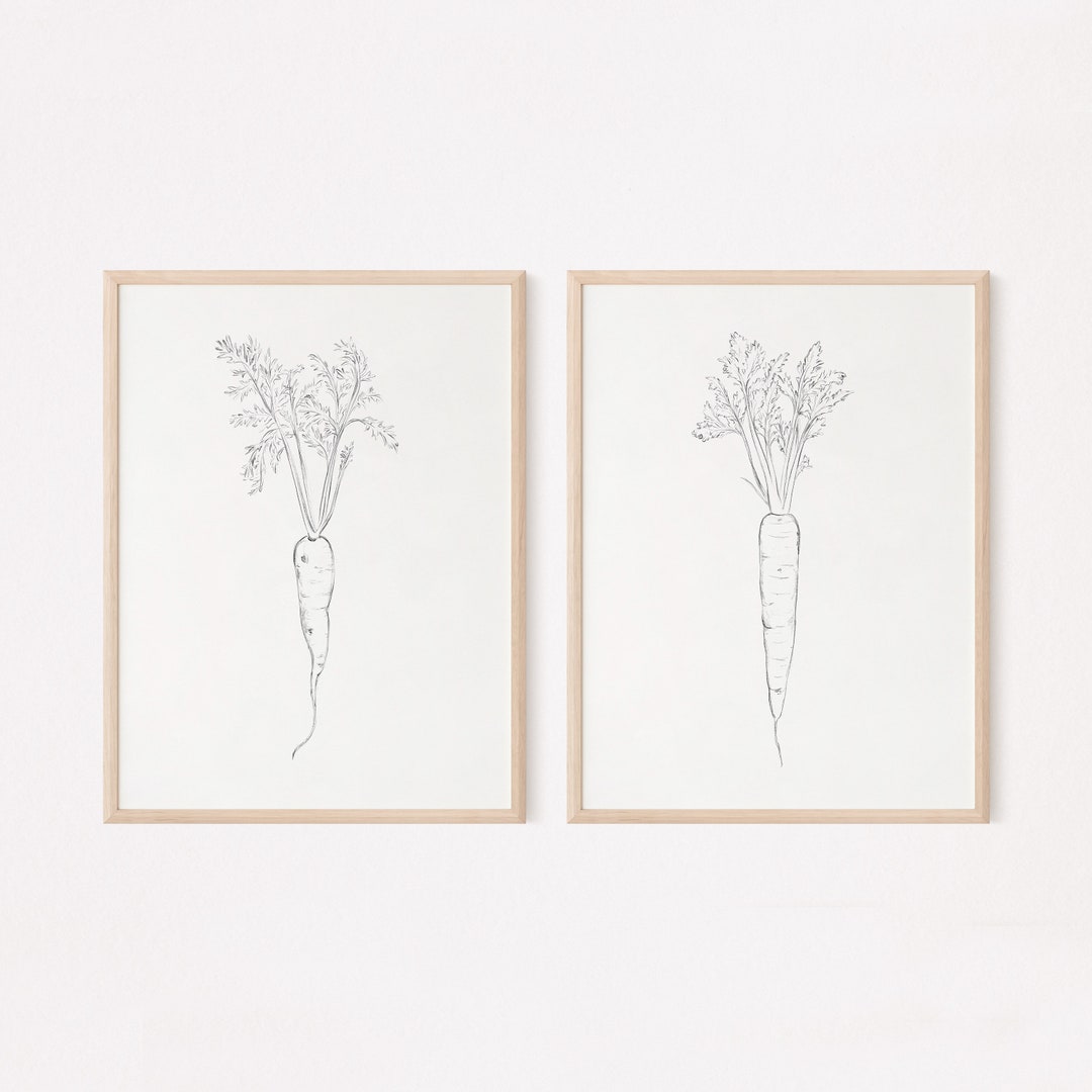 Carrot Sketch Print Set: Kitchen Garden Art (digital Download) - Etsy
