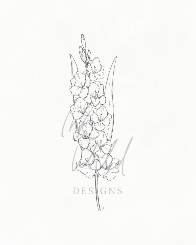Gladiolus Drawing Gladiolus Print Floral Drawing Pencil Drawing ...
