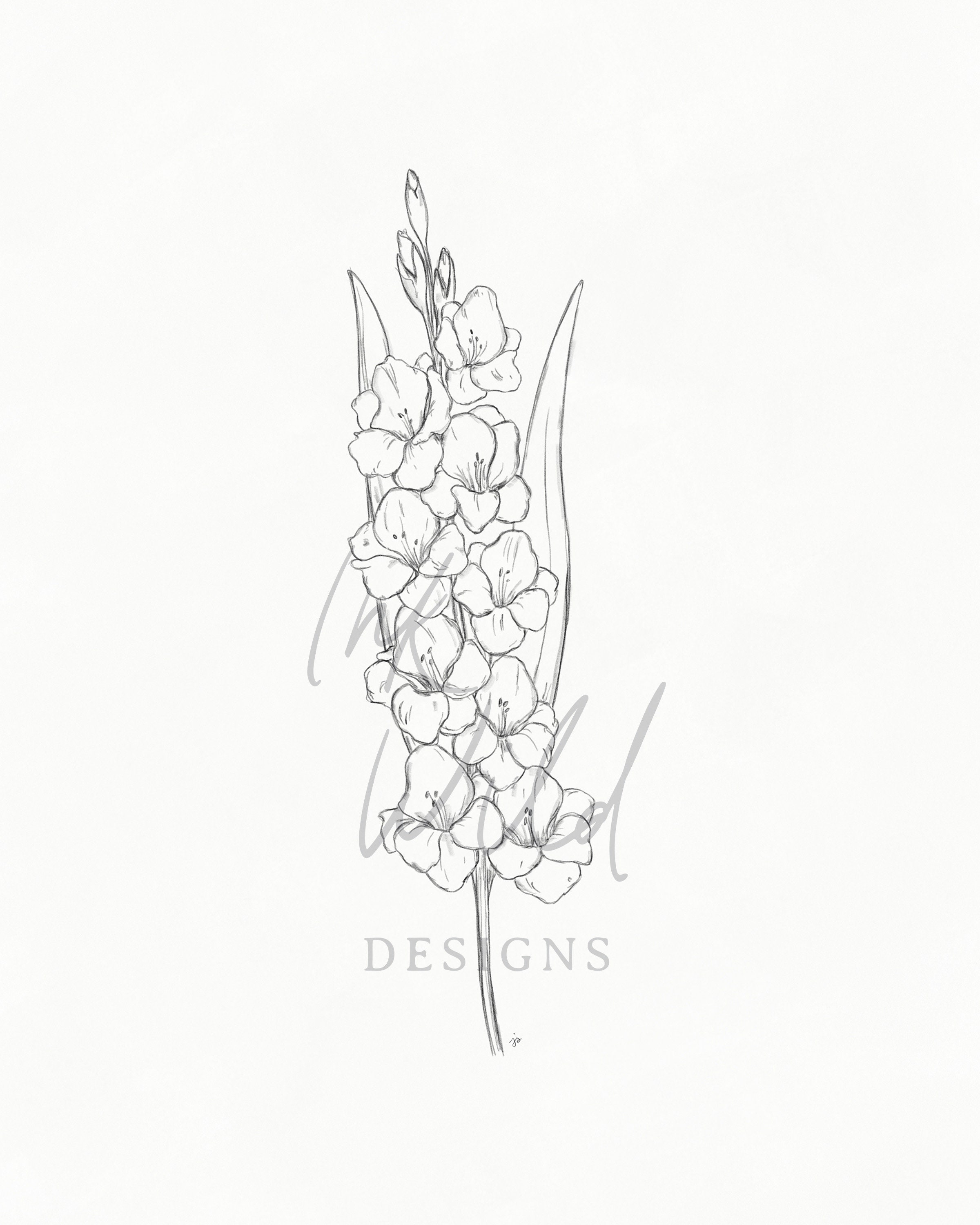Gladiolus Drawing Gladiolus Print Floral Drawing Pencil Drawing ...