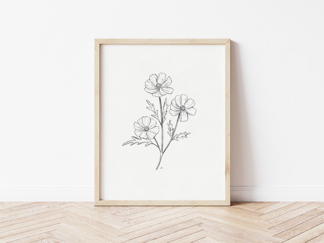 Cosmos Print | Cosmo in Pencil | Floral Drawing | Pencil Drawing ...