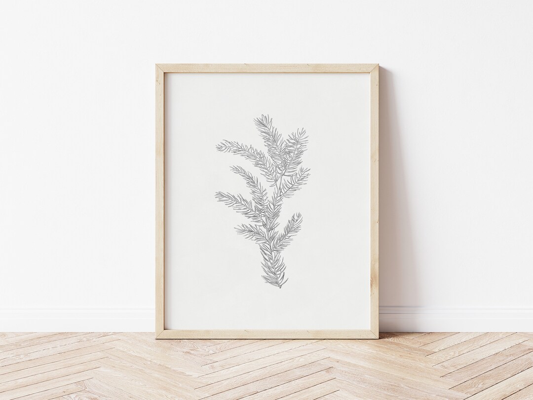 Fir Tree Art, Fir Tree Print, Holiday Prints Vintage, Fir Print, Tree ...