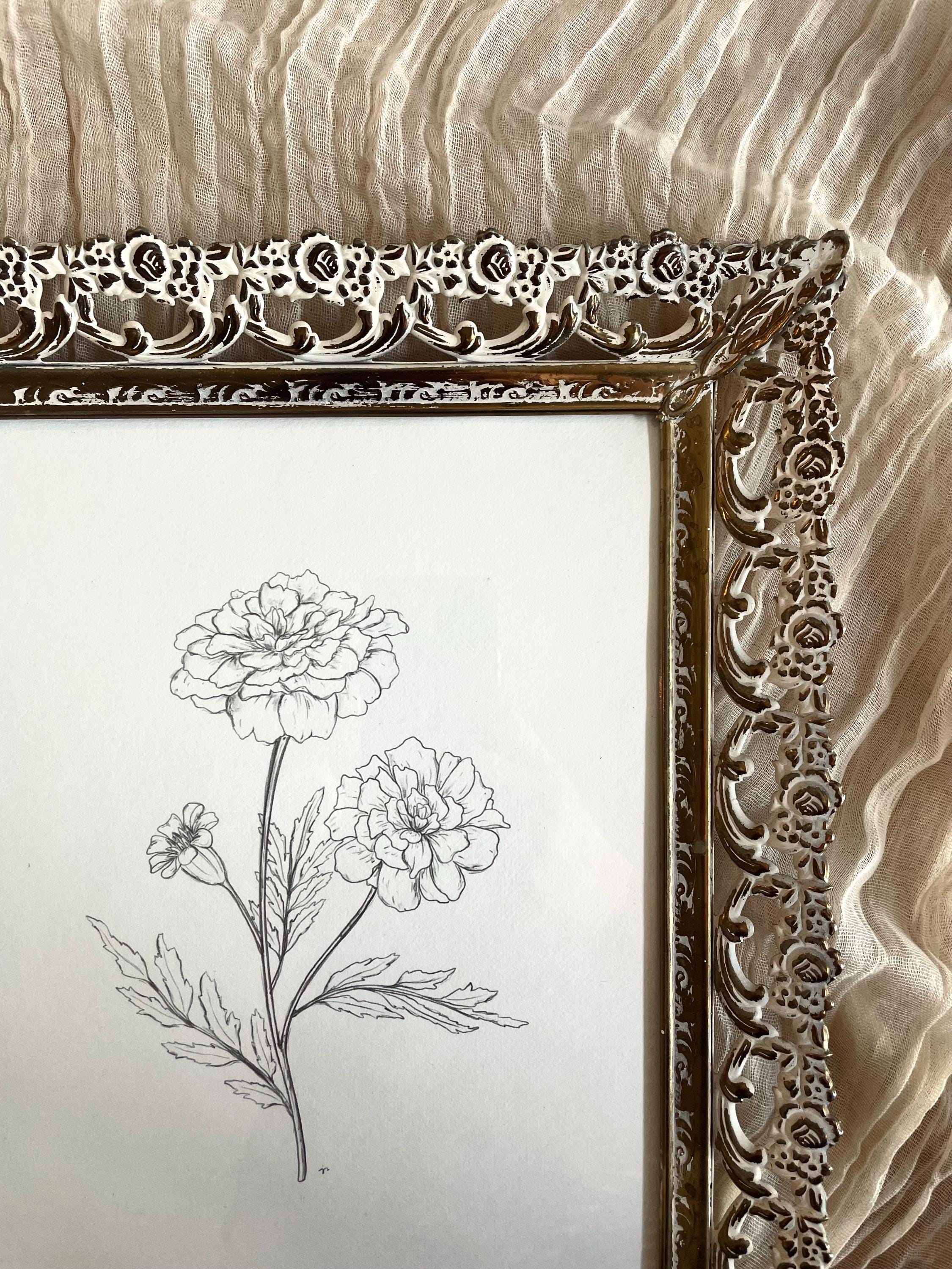 Marigolds Drawing | Marigold Print | Floral Drawing | Pencil Drawing ...