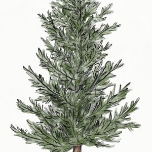 Watercolor Christmas Printable, Spruce Wall Art, Spruce Tree ...