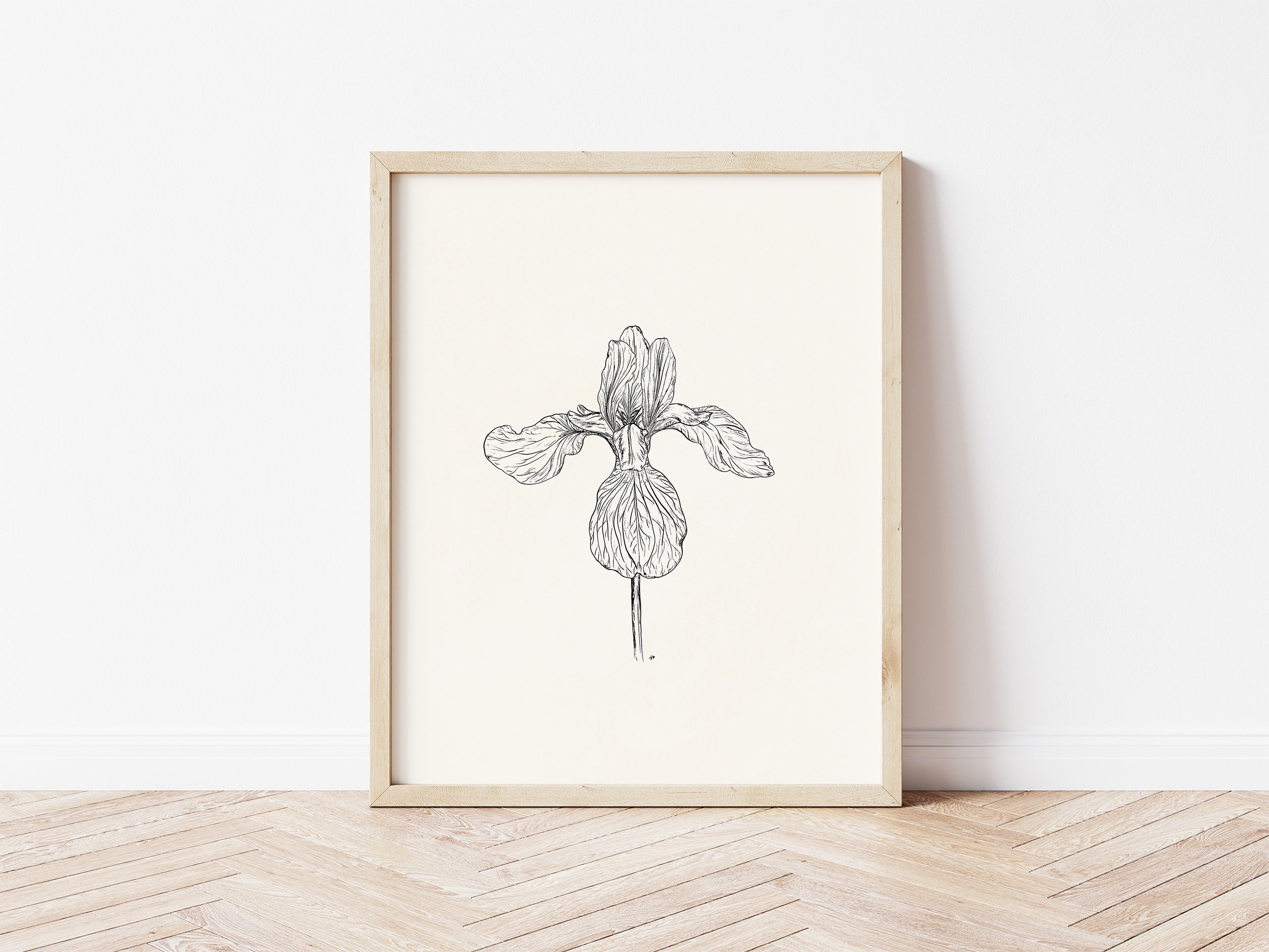Iris Flower Print, Pen and Ink Art Print, Flower Drawing Art, Floral ...