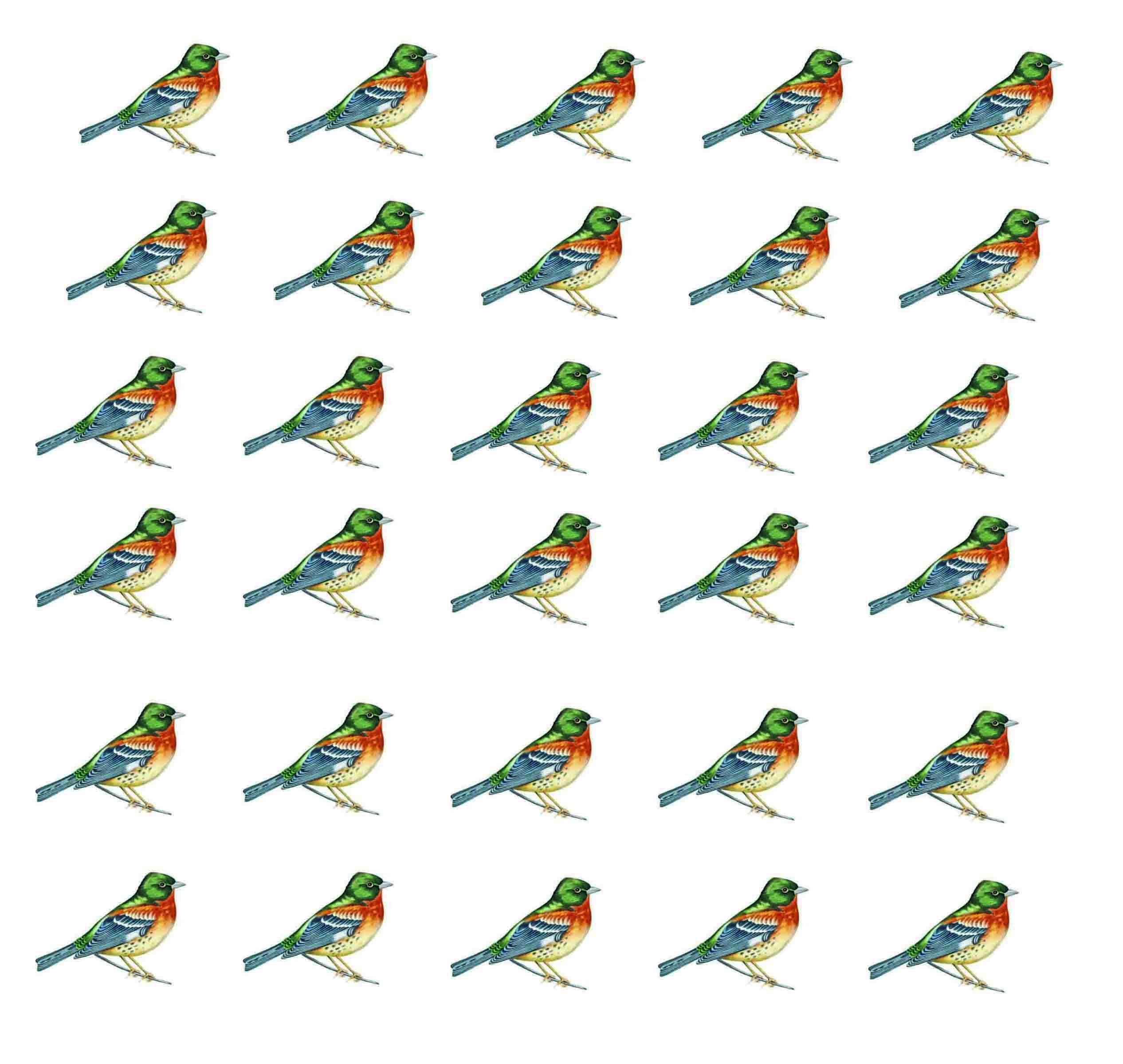 30 Pcs X 5 Cm. Ceramic Decals. Pattern 3903A/8 Scenes B. - Etsy