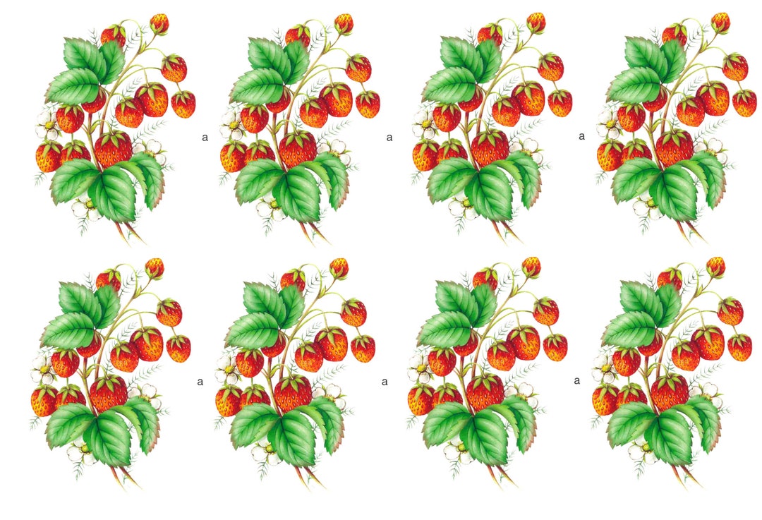 8 Pcs X 9,5 Cm. Ceramic Decals. Pattern 70340A/3 Scenes A. - Etsy