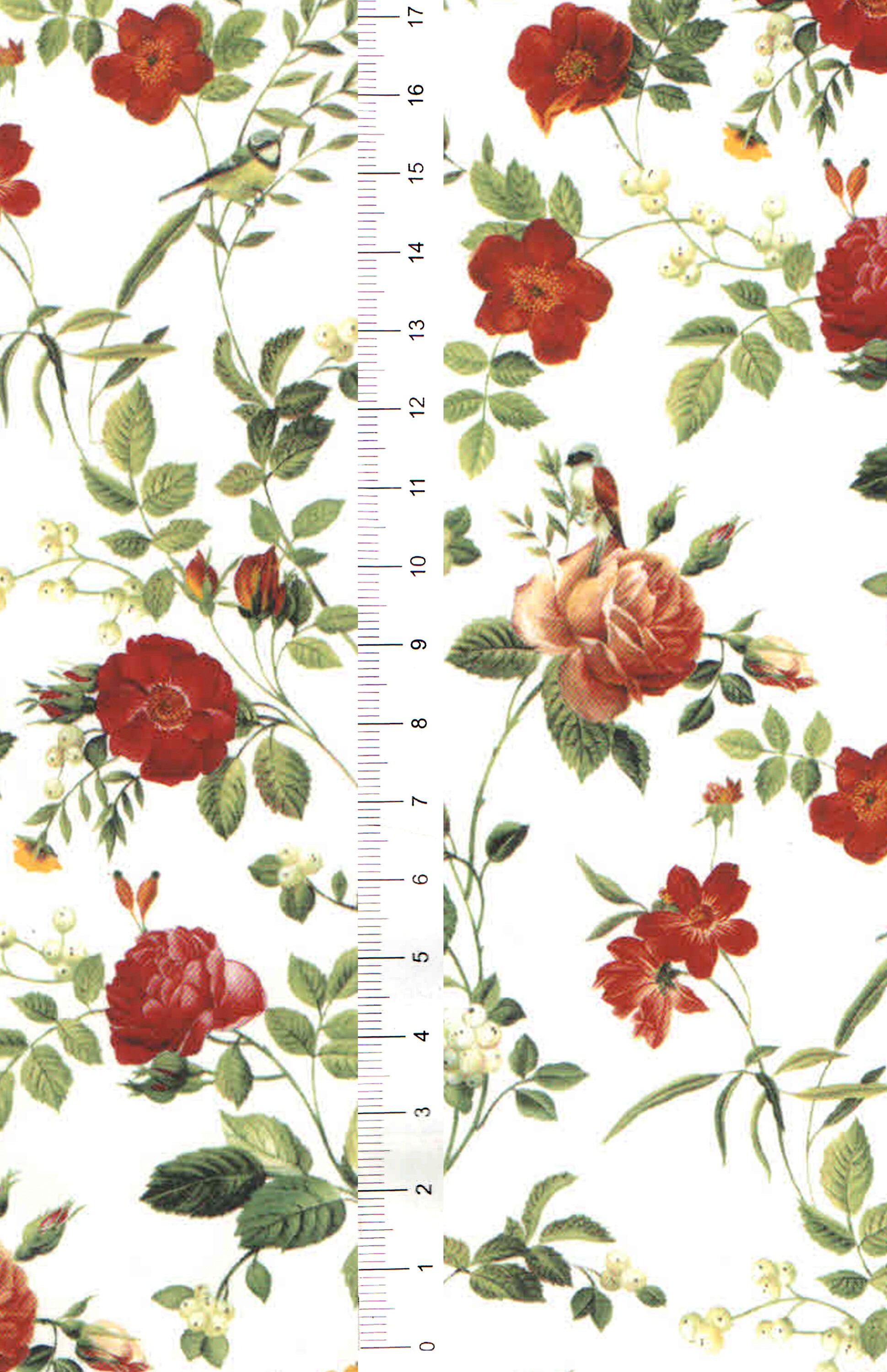 Ceramic Decal Sheet (chintz) - 84144-B Lucia Medium - Ceramic Decals - Etsy