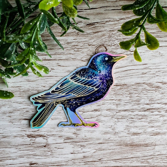 Starling Rainbow Holographic Vinyl Sticker | Etsy