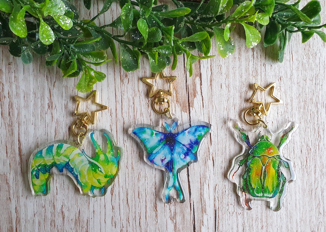 Galactic Animals, Bugs, Insects, Caterpillar, Beetle, Moth, Acrylic ...
