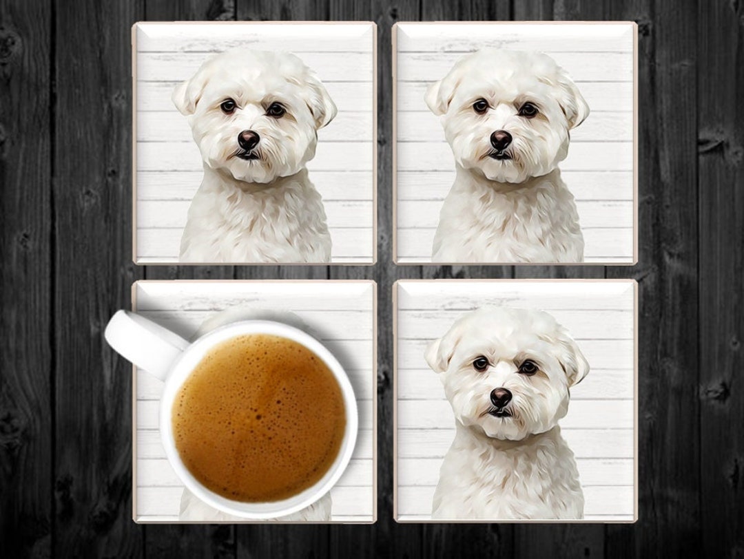 Maltese Coasters, Maltese Coaster Set, Maltese Drink Coasters, Maltese ...