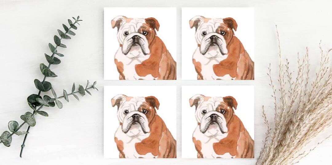 Bulldog Coasters, Bulldog Coaster Set, English Bulldog Coaster Gift ...