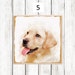 Labrador Retriever Coaster Lab Coasters Yellow Labrador - Etsy