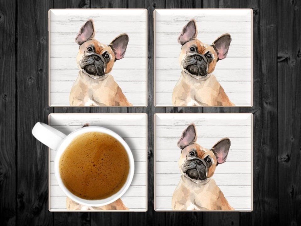 What Can French Bulldogs Drink