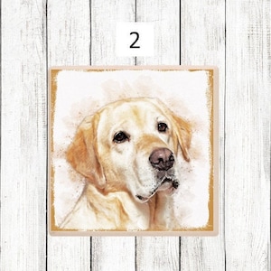 Labrador Retriever Coaster, Lab Coasters, Yellow Labrador Drink ...