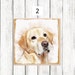 Labrador Retriever Coaster Lab Coasters Yellow Labrador - Etsy